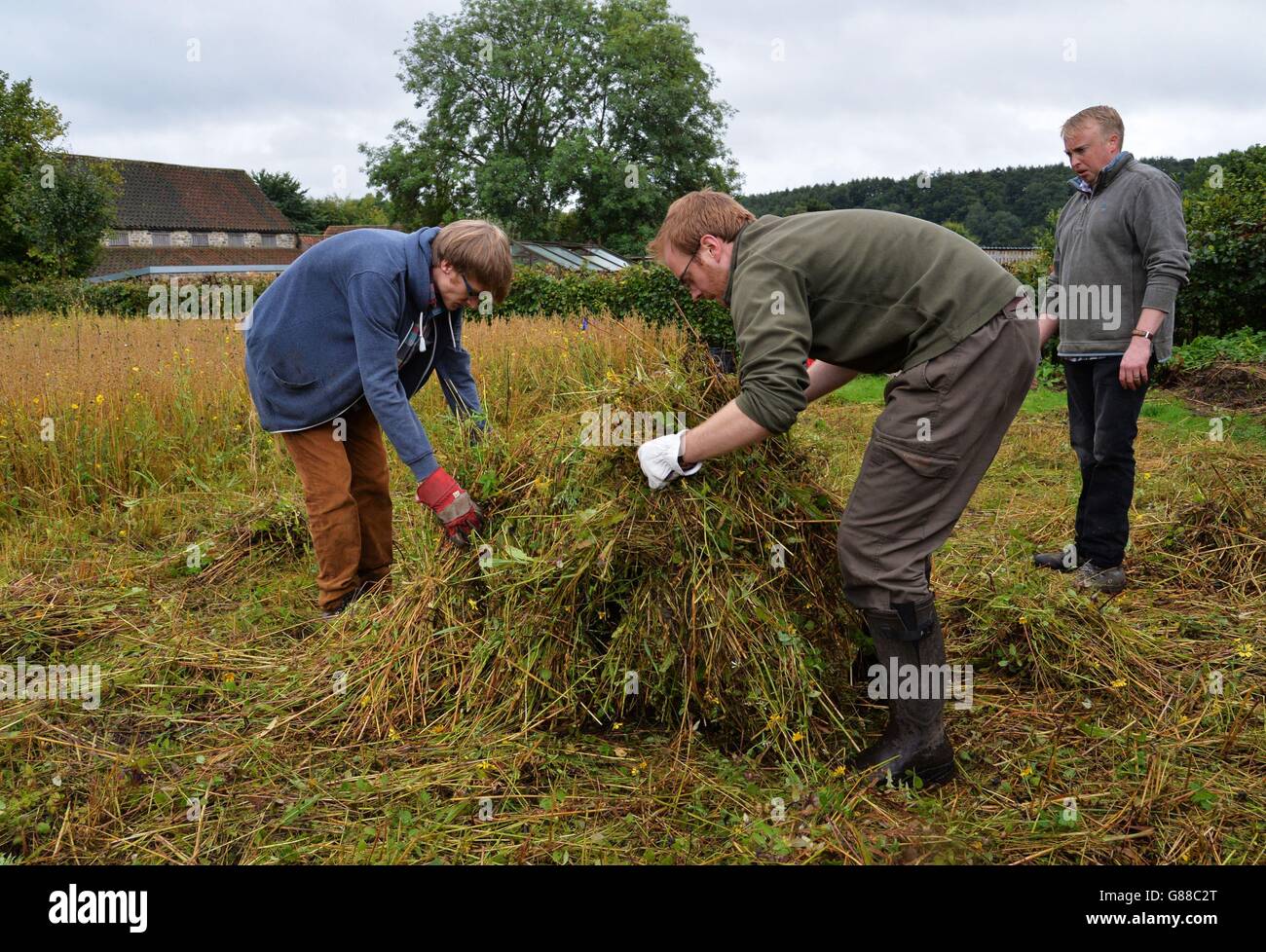 Traditional scythes hi-res stock photography and images - Alamy