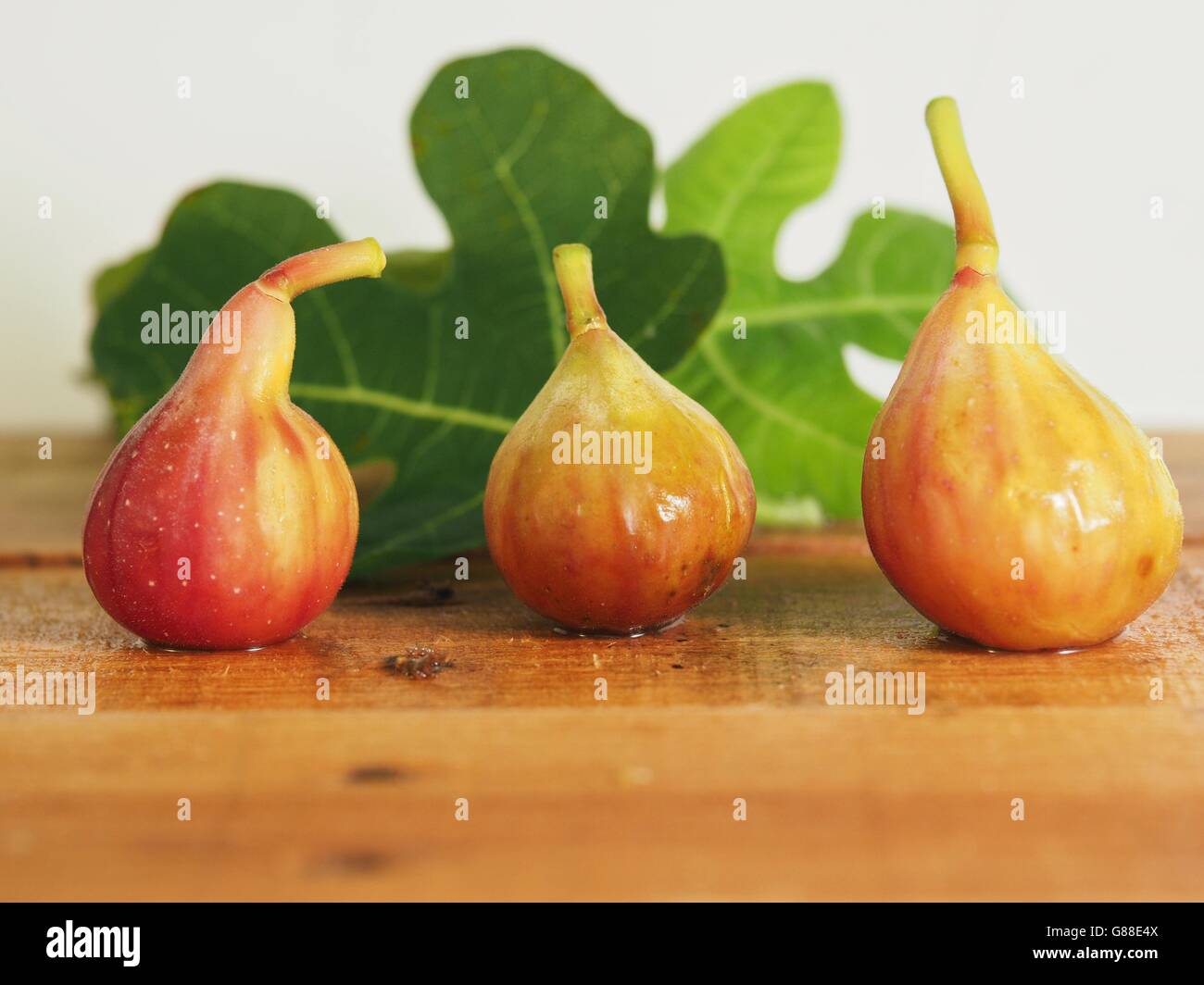 Three Beautiful organic figs, white background Stock Photo - Alamy