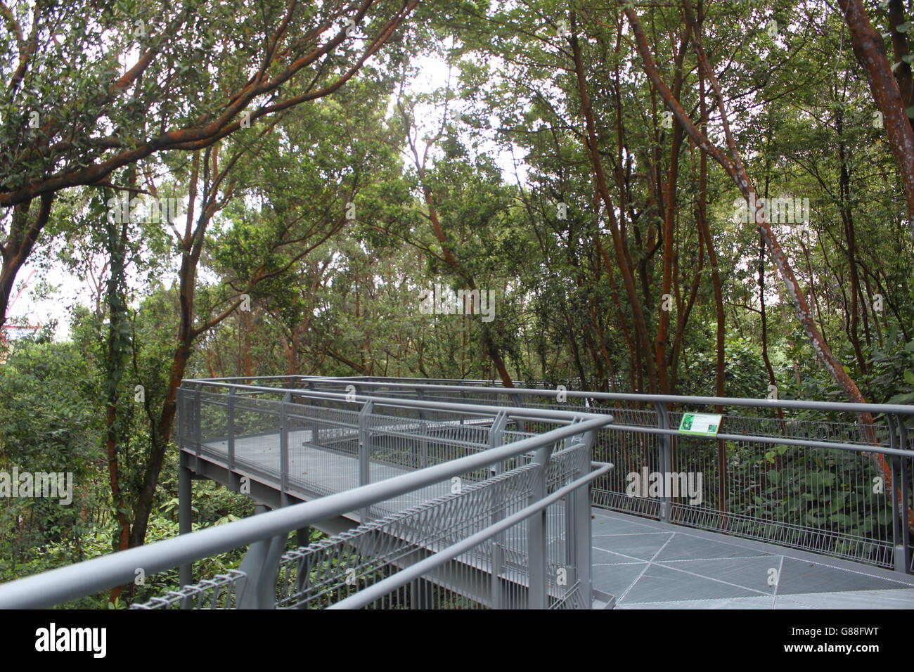 Bridge through the forest hi-res stock photography and images - Alamy