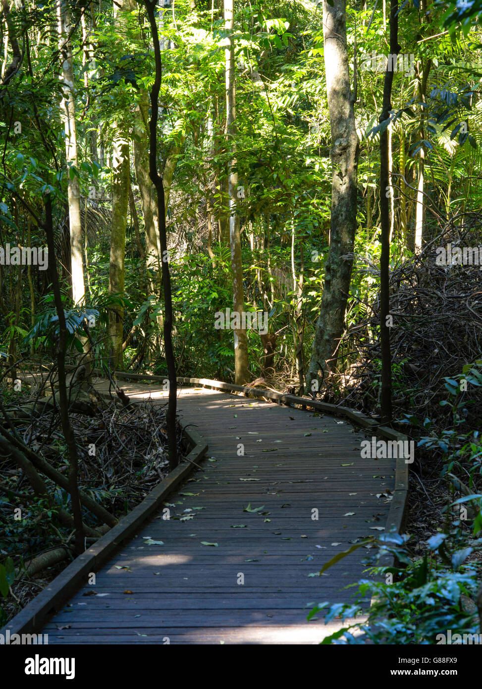 Victoria park boardwalk hi-res stock photography and images - Alamy