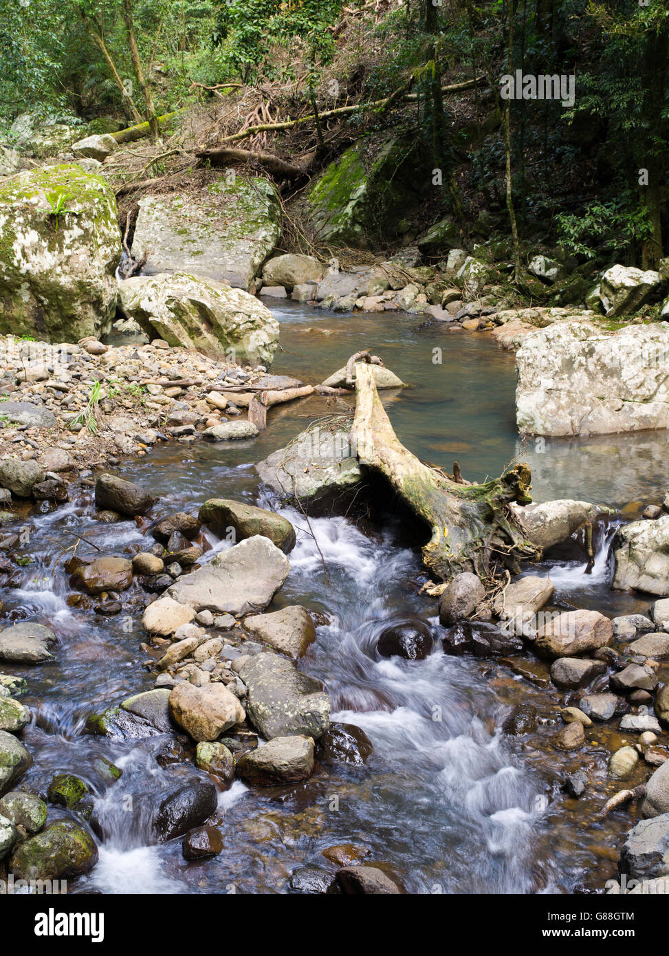Cave Creek flows through cobbles, Springbrook National Park, Queensland ...
