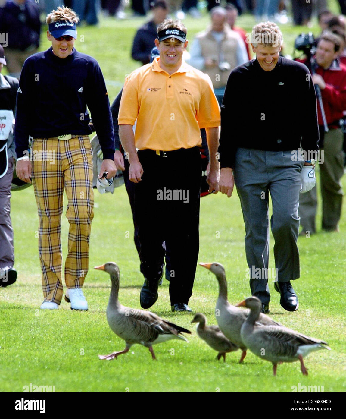 Master poulter hi-res stock photography and images - Alamy