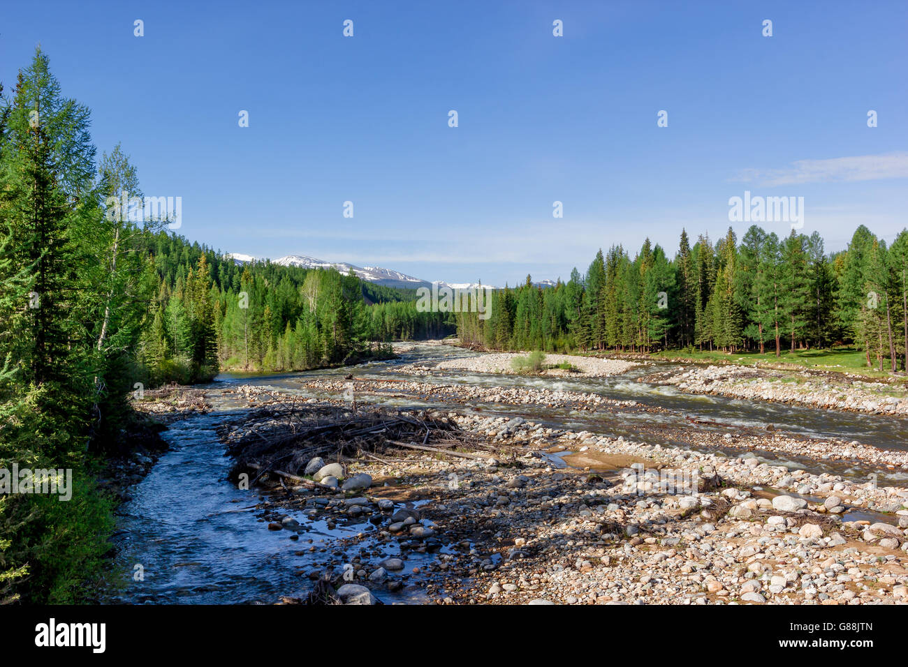 Small river with rocky shores flowing through a mountain valley Stock ...