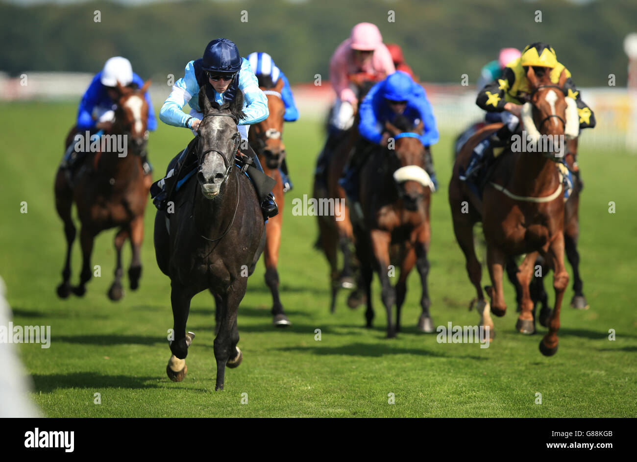 Japan horse races hi-res stock photography and images - Alamy