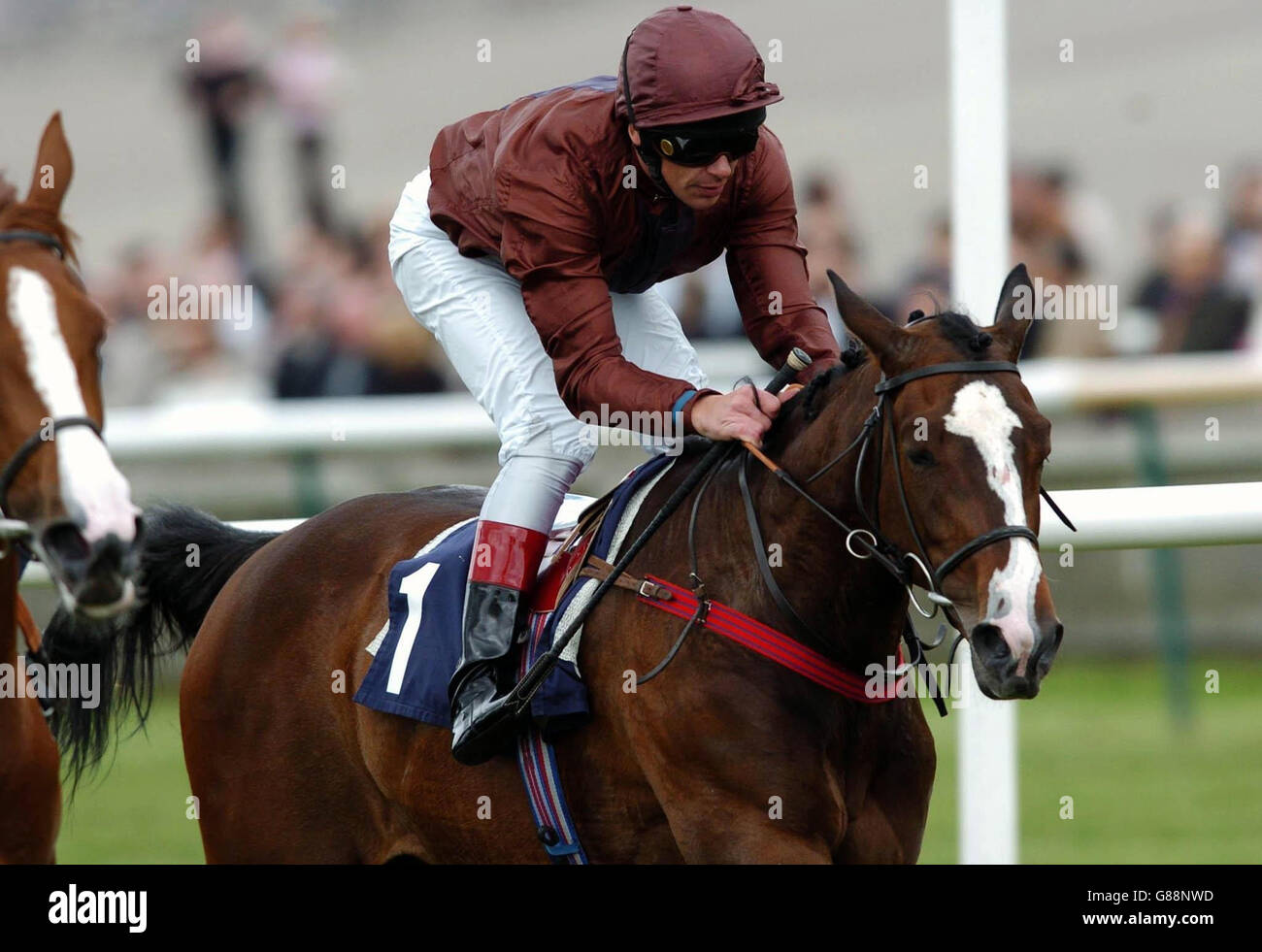 Horse Racing - Newmarket Rowley Mile Racecourse Stock Photo - Alamy