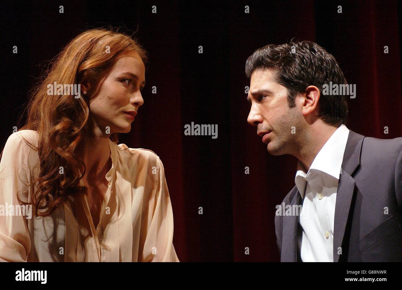 American actor David Schwimmer and British actress Saffron Burrows ...
