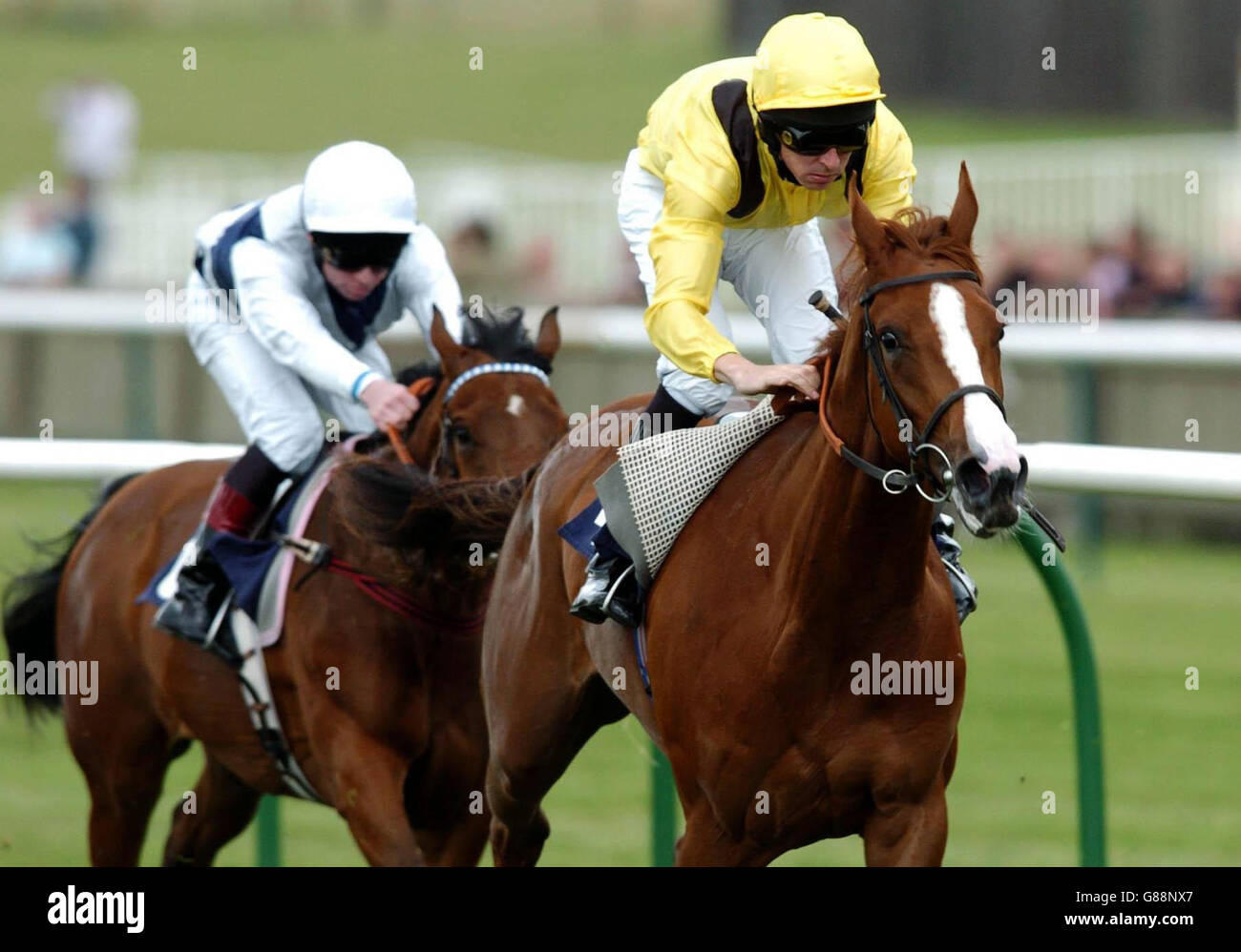 Horse Racing - Newmarket Rowley Mile Racecourse Stock Photo - Alamy