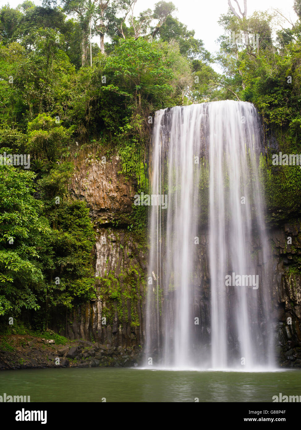 The famous Millaa Millaa waterfall, near Millaa Millaa, QLD, Australia ...