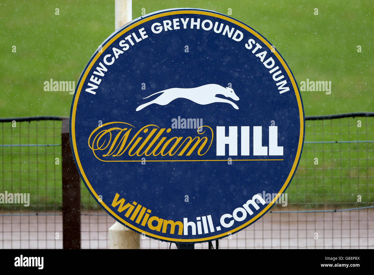 Greyhound Racing - Newcastle Greyhound Stadium Stock Photo - Alamy