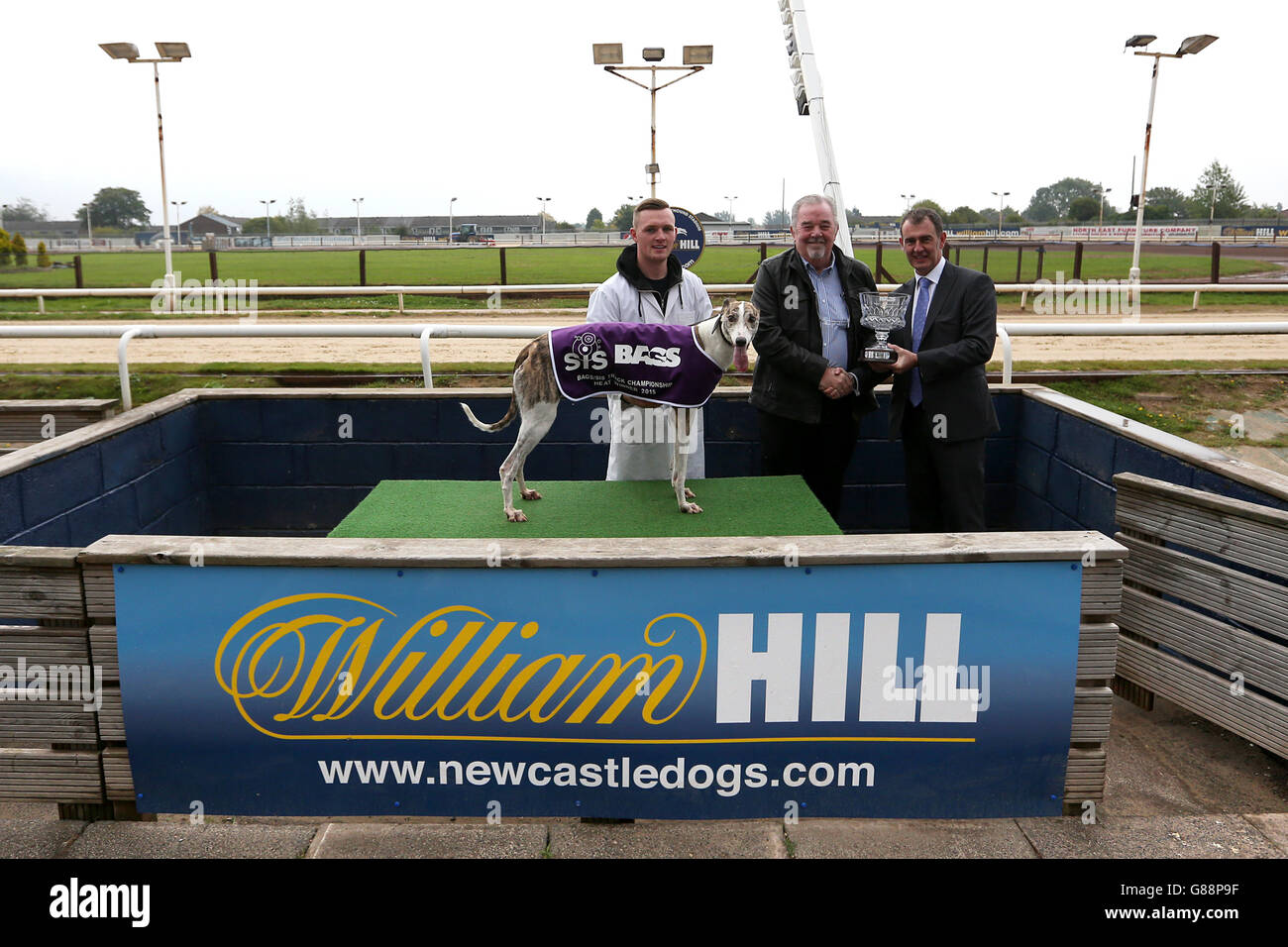 Greyhound Racing - Newcastle Greyhound Stadium Stock Photo - Alamy