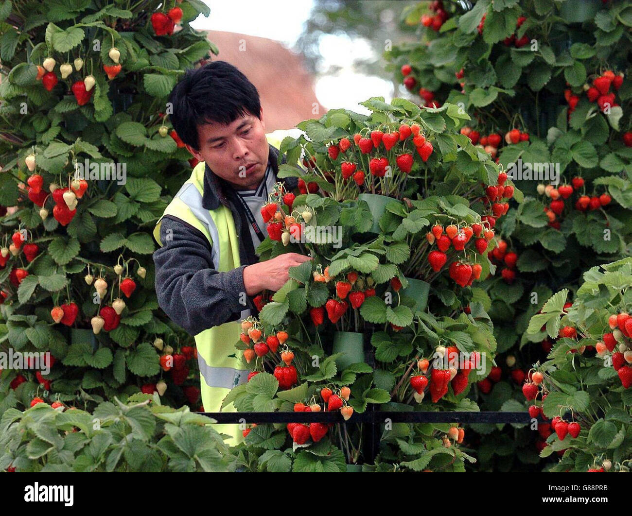 Ken muir hi-res stock photography and images - Alamy