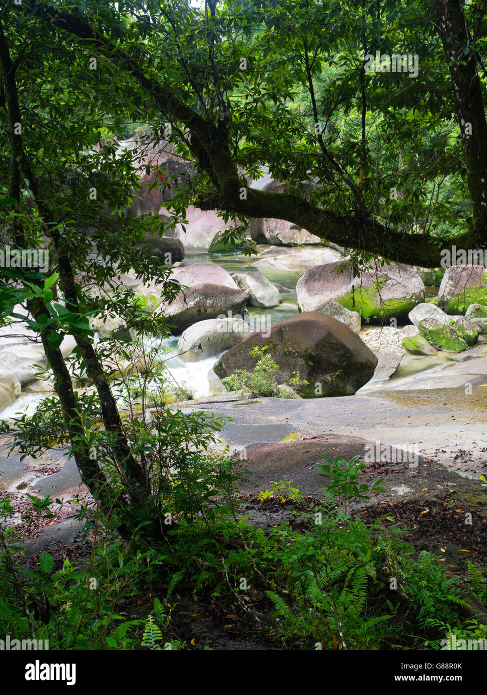 The famous Babinda Boulders along Babinda Creek, near Babinda, QLD ...
