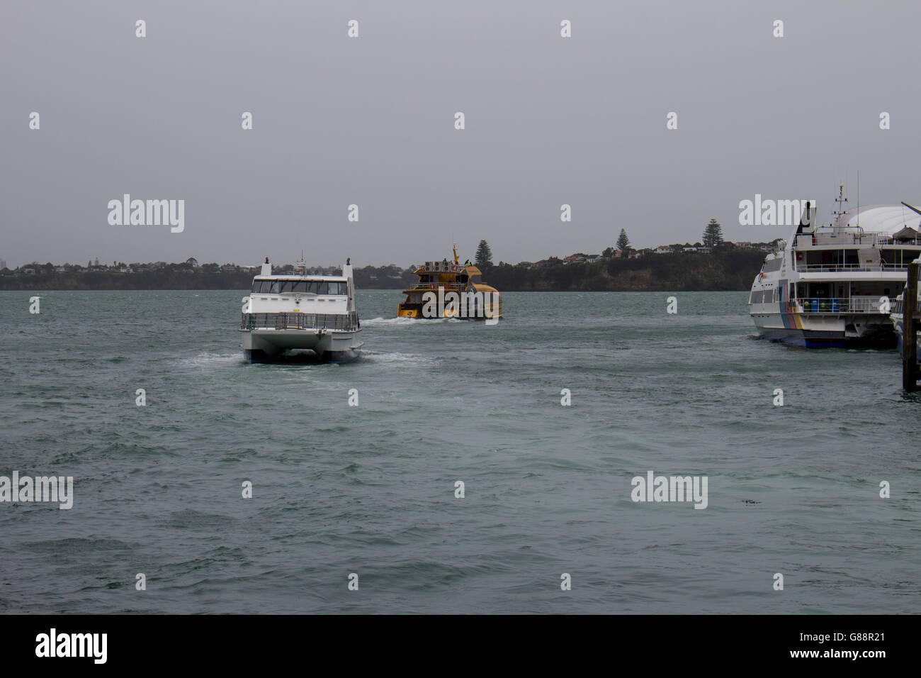 Auckland harbour ferries hi-res stock photography and images - Alamy
