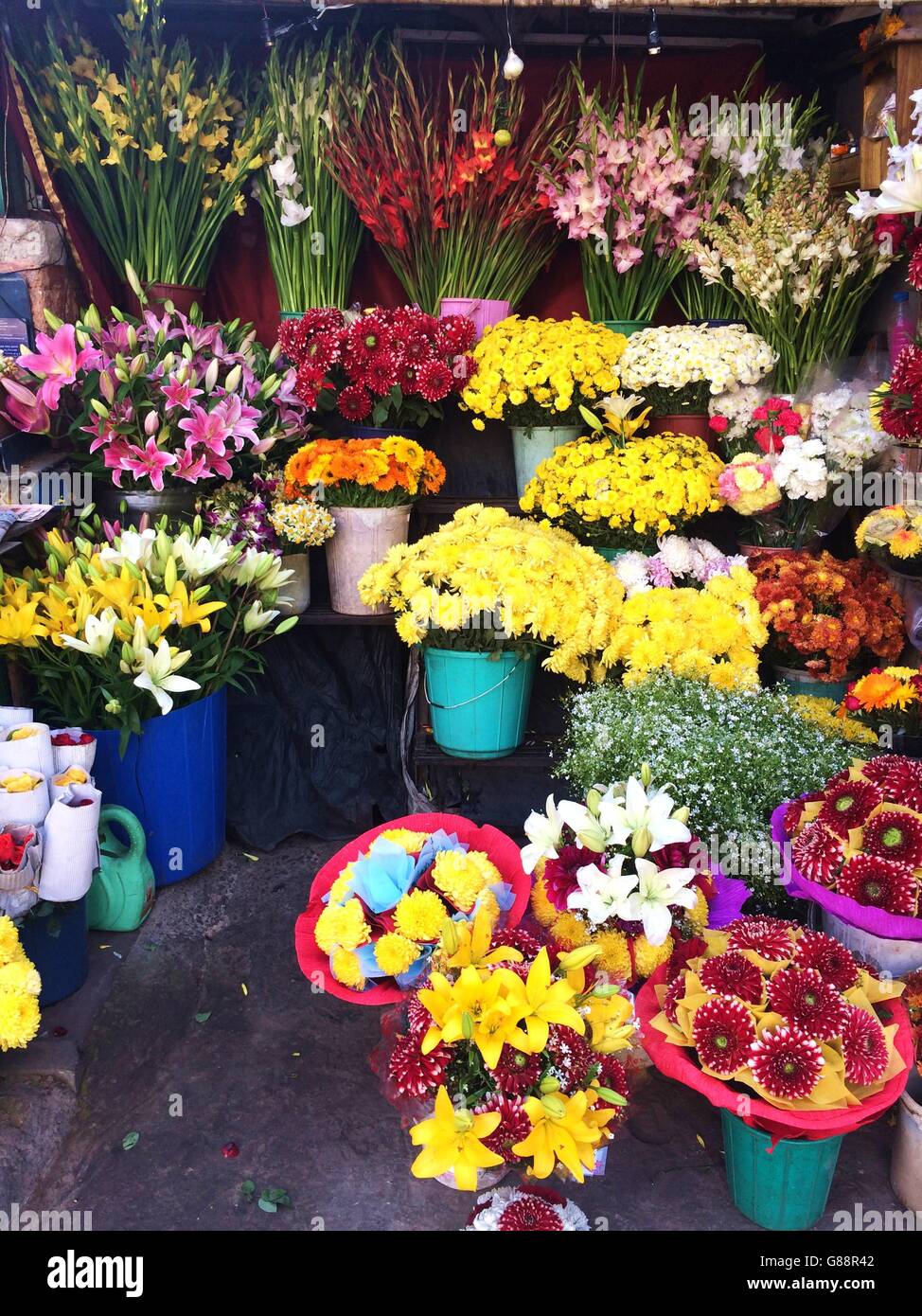Flower stall, New Delhi, India Stock Photo - Alamy