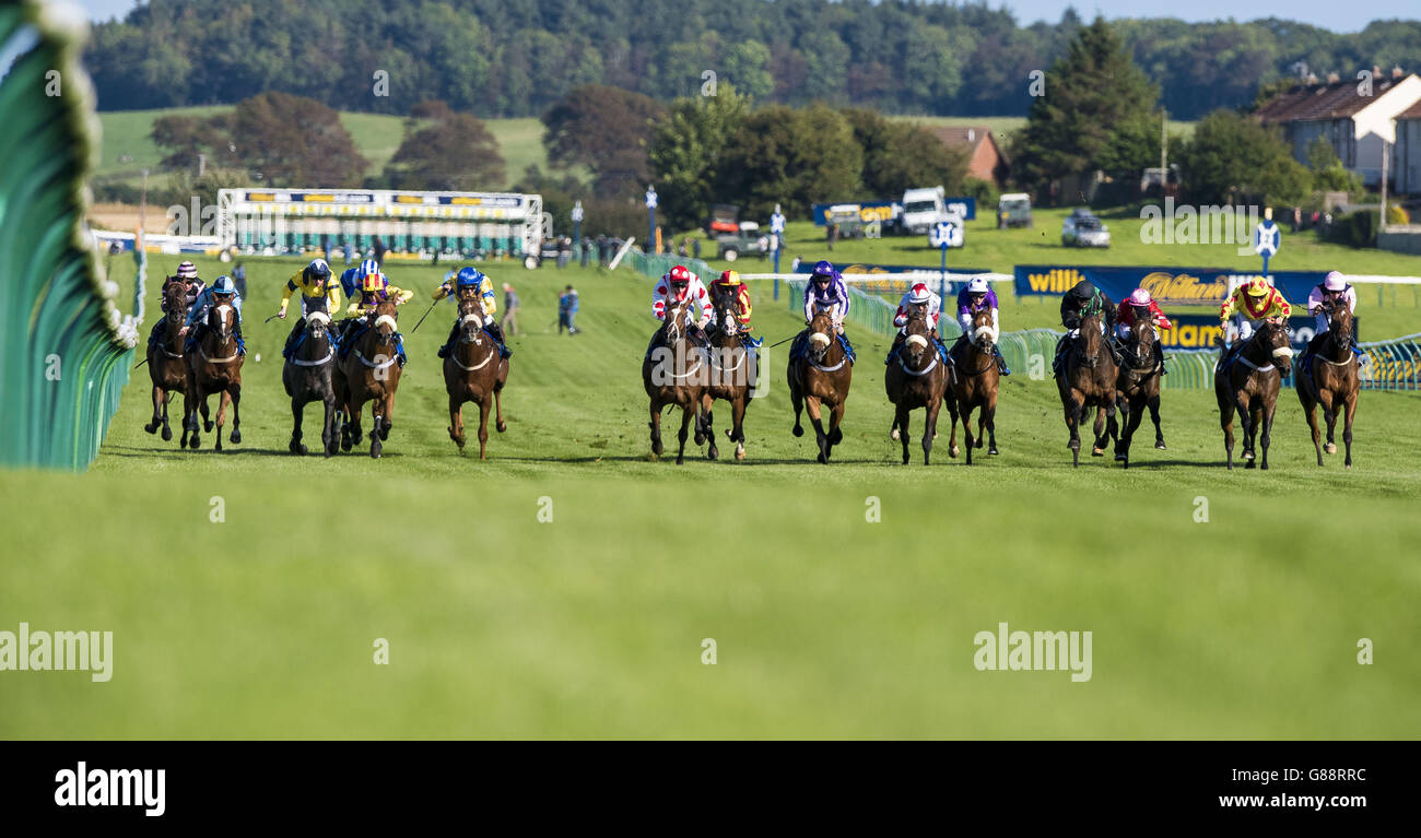 Horse Racing - William Hill Ayr Gold Cup - Day One - Ayr Racecourse ...