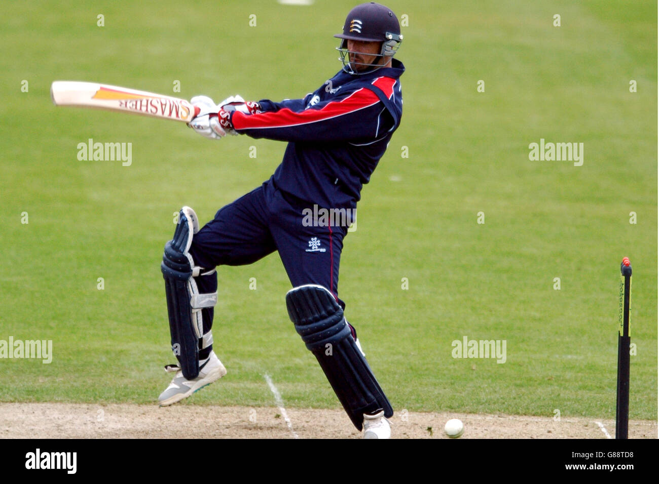 Full length stock cricket landscape hi-res stock photography and images ...