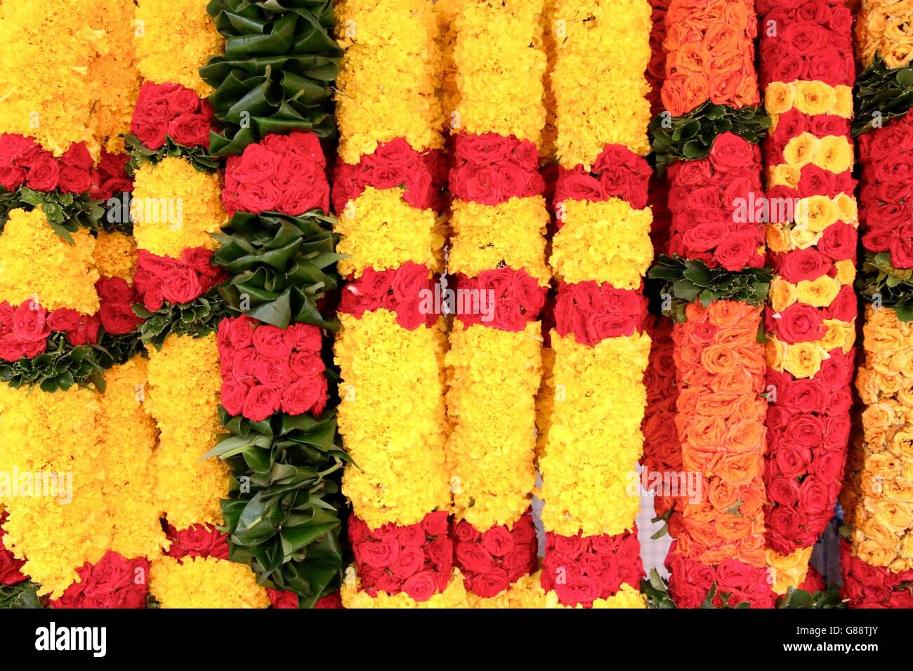 Marigold garlands hi-res stock photography and images - Alamy