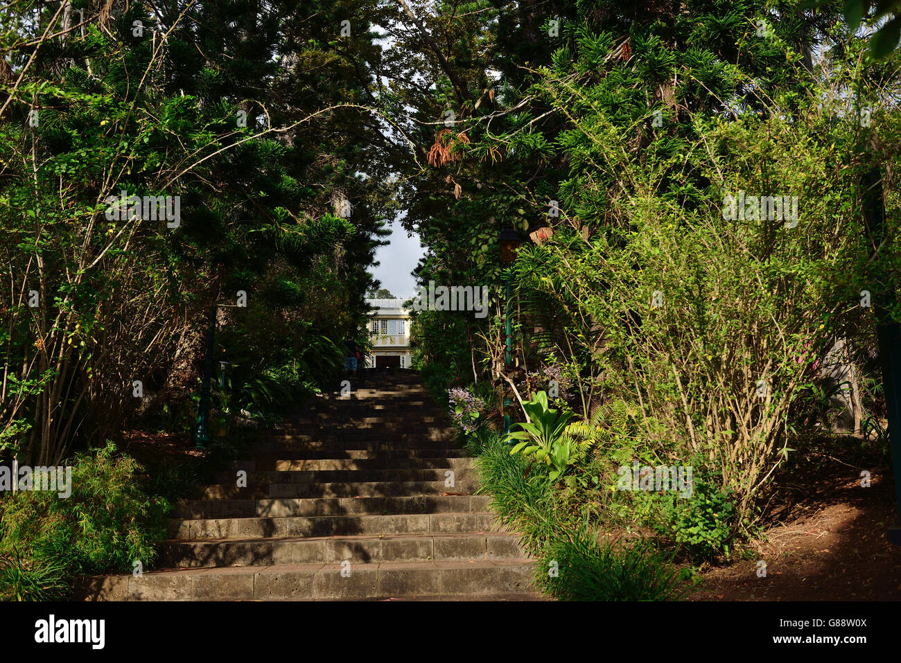 Mascarin hi-res stock photography and images - Alamy