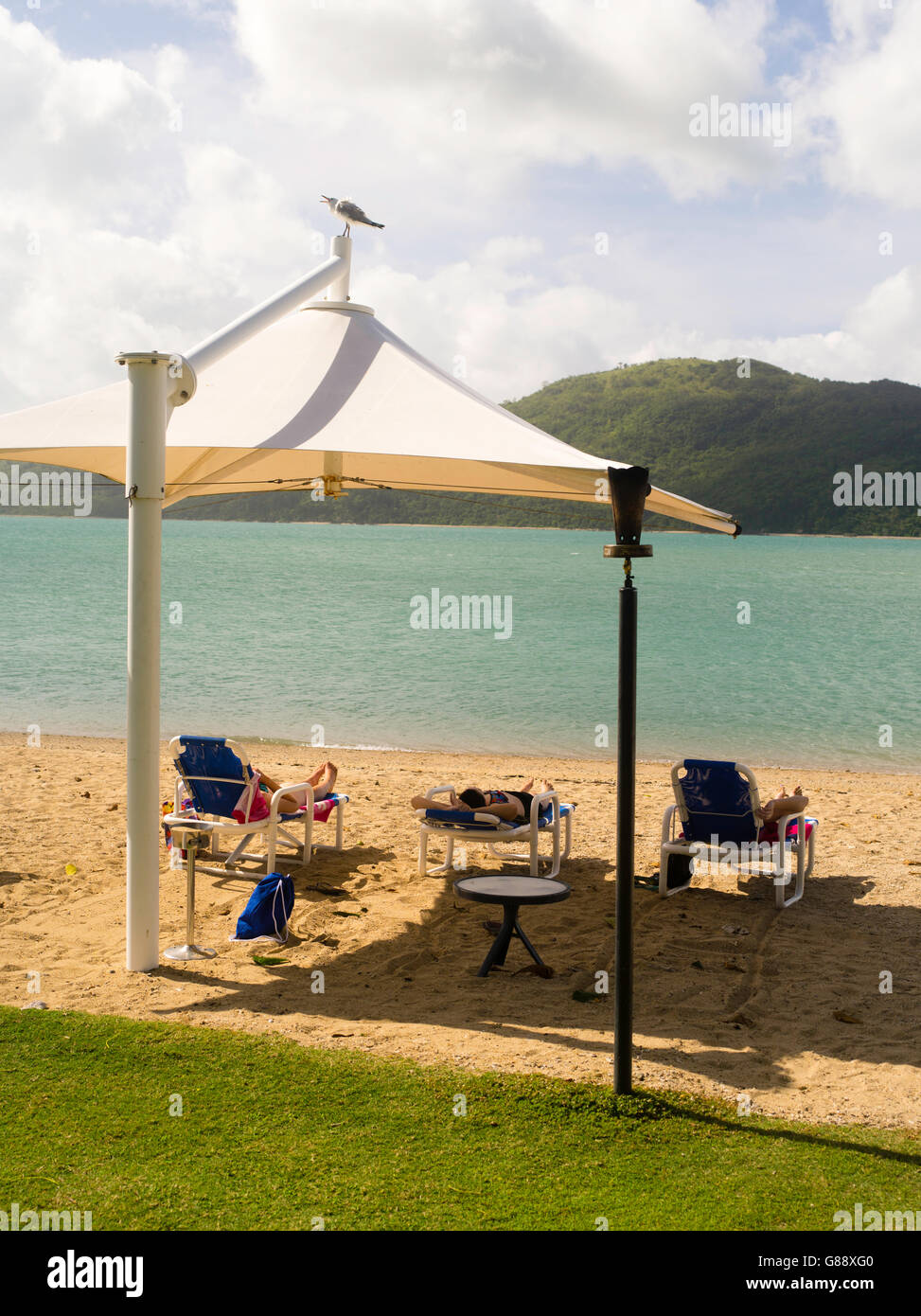 Relaxing at the beach, Daydream Island; Whitsunday Islands, QLD ...