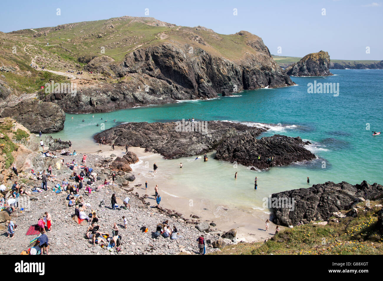 Coastal scenery, Kynance Cove, Lizard peninsula, Cornwall, England, UK ...