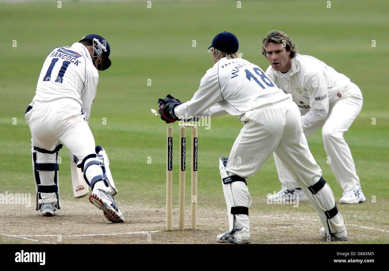 Cricket tim hancock hi-res stock photography and images - Alamy