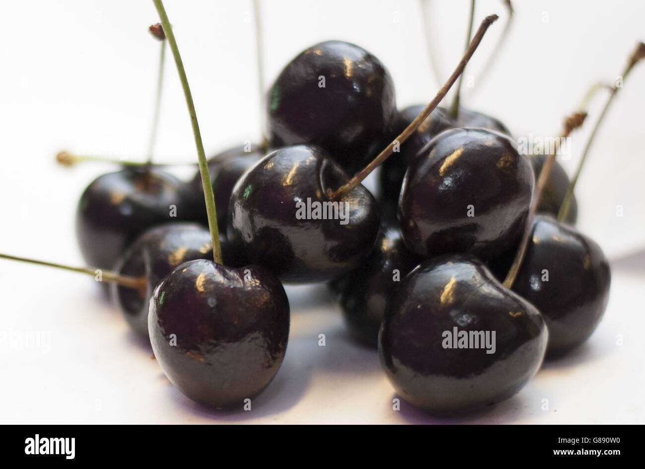 Ideal growing conditions hi-res stock photography and images - Alamy