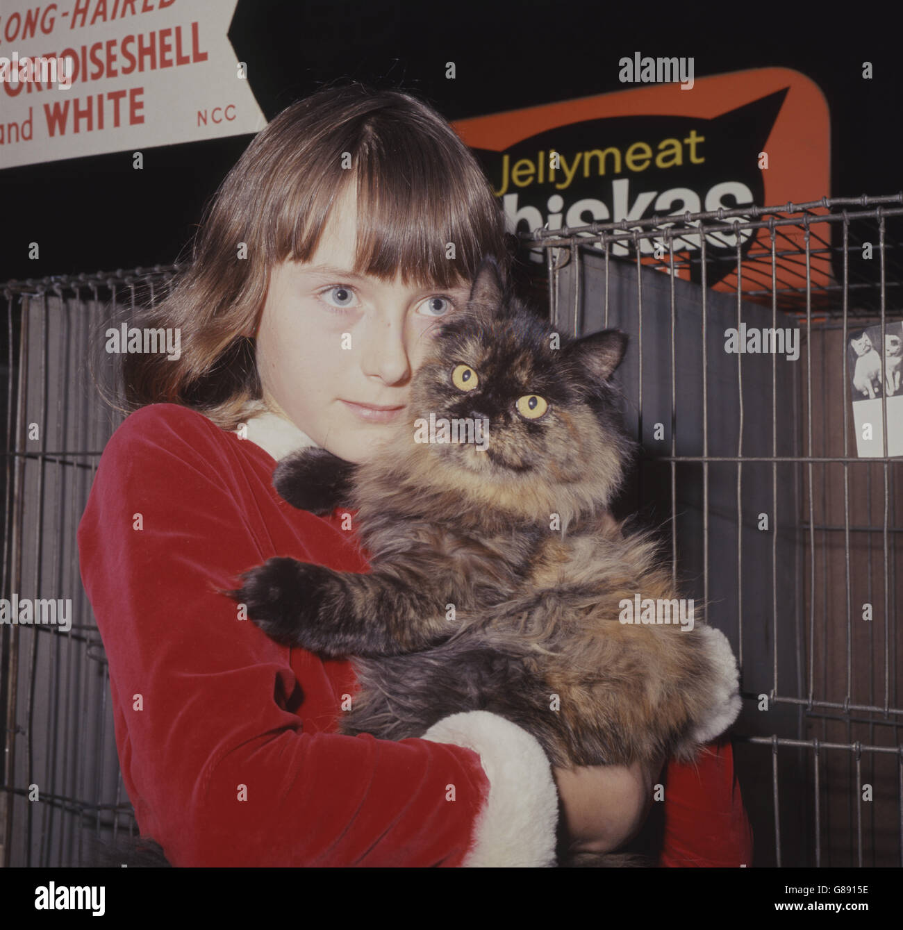Caroline Millar, 10, with Chadhurst June Melody, a Tortoiseshell kitten ...