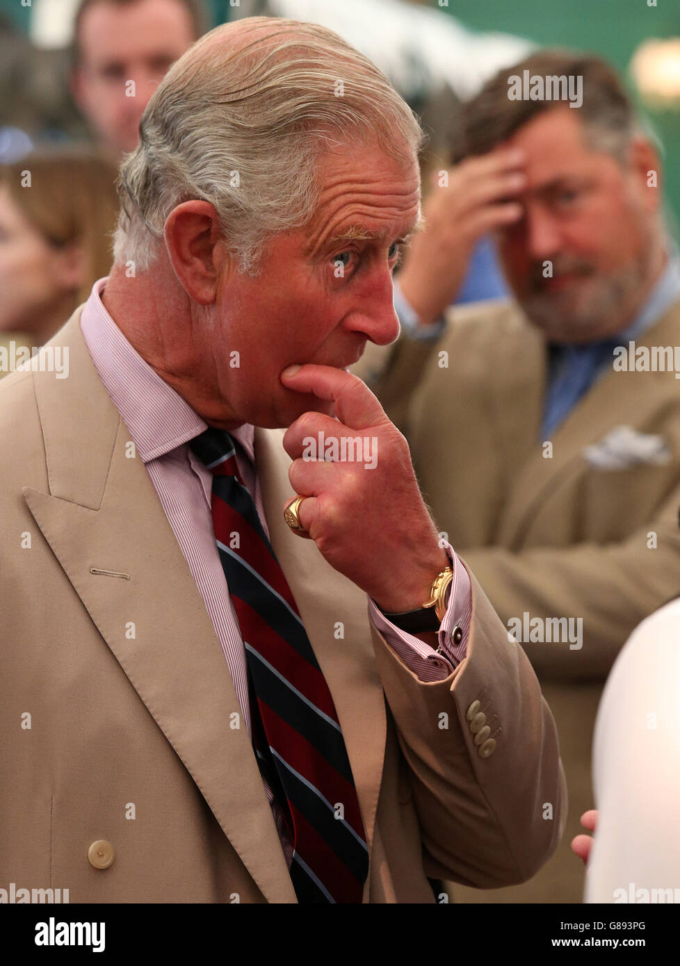 The Prince of Wales, known as the Duke of Rothesay when in Scotland ...