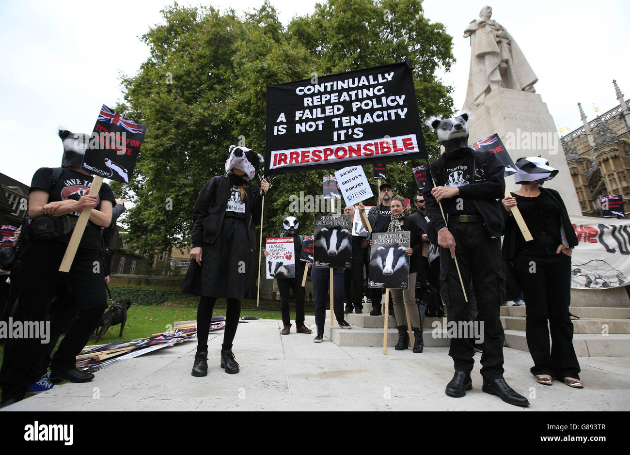 The badger parade hi-res stock photography and images - Alamy