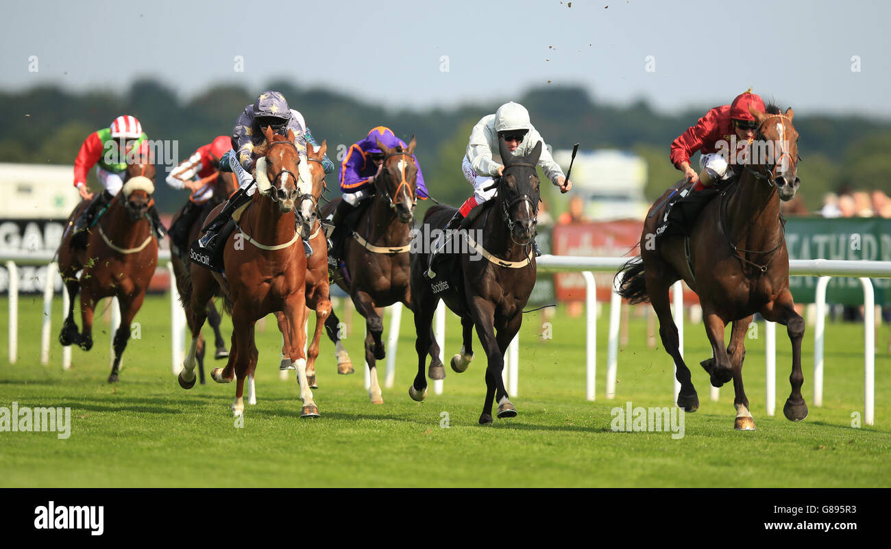 2015 ladbrokes st leger festival hi-res stock photography and images ...