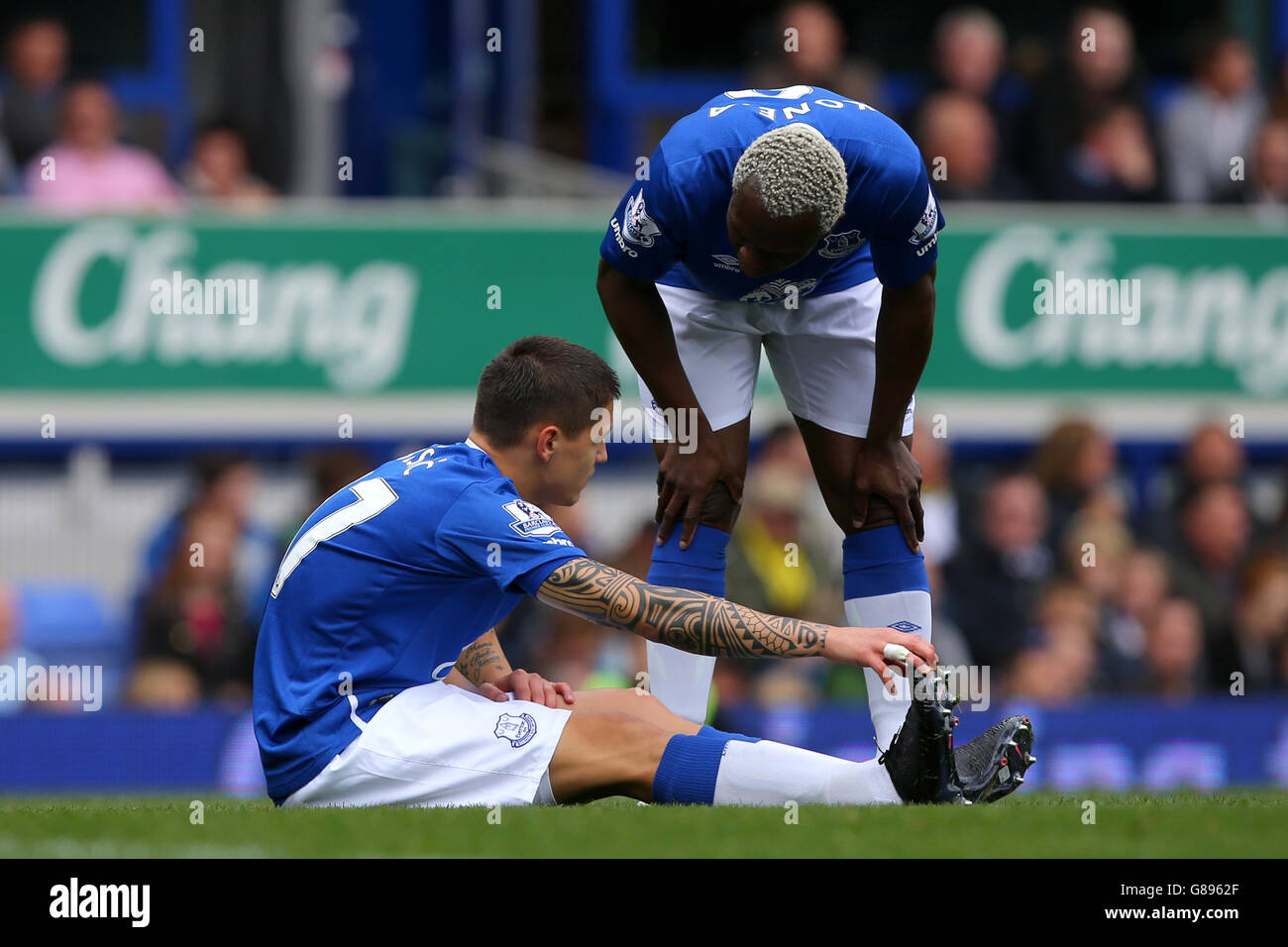 Everton's Muhamed Besic sits injured on the pitch before being taken ...