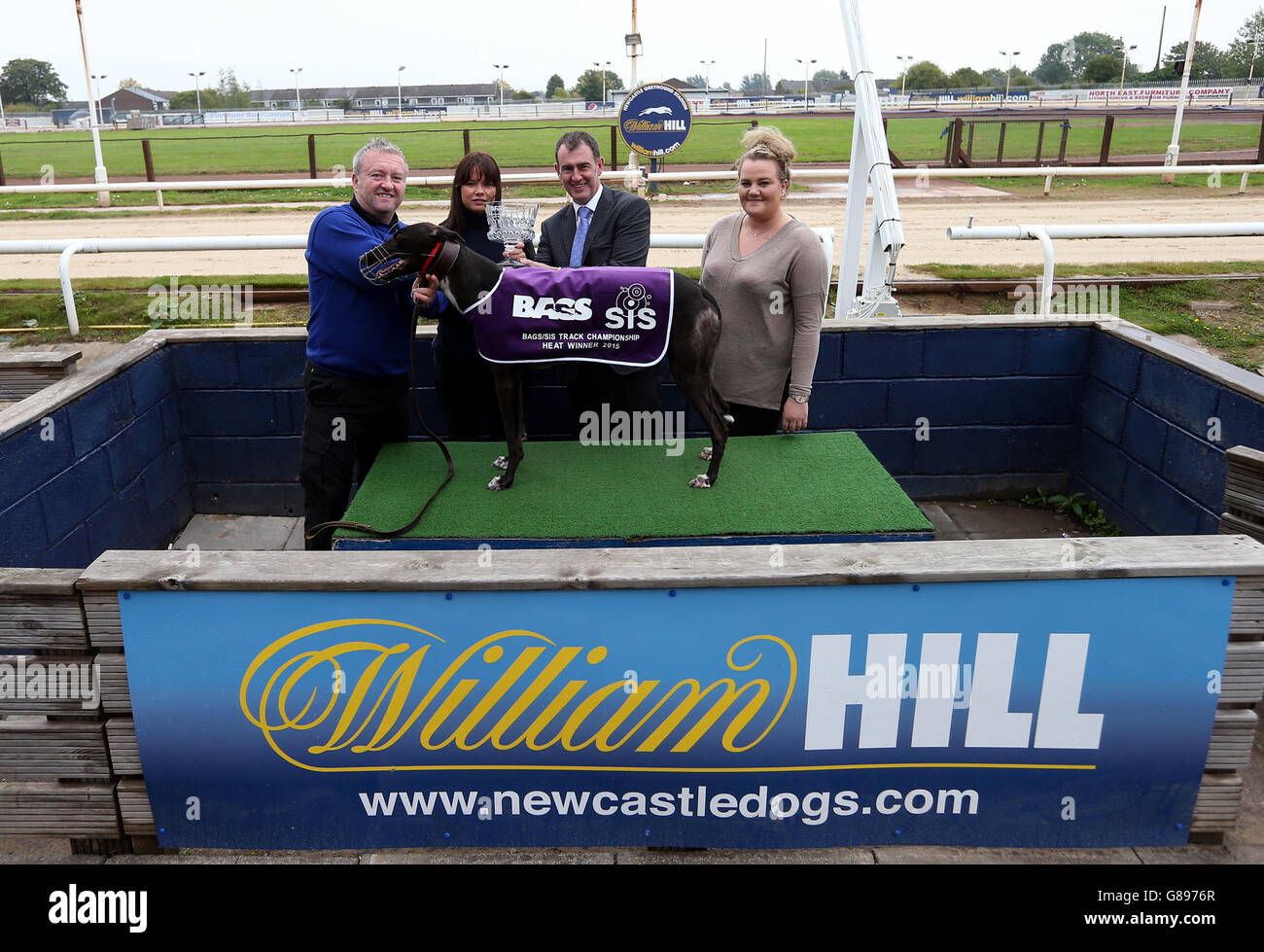 Greyhound Racing - Newcastle Greyhound Stadium Stock Photo - Alamy