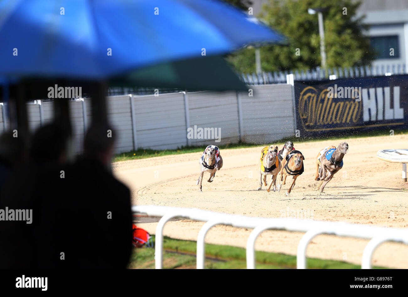 Greyhound Racing - Newcastle Greyhound Stadium. Winner of the 15.53 ...