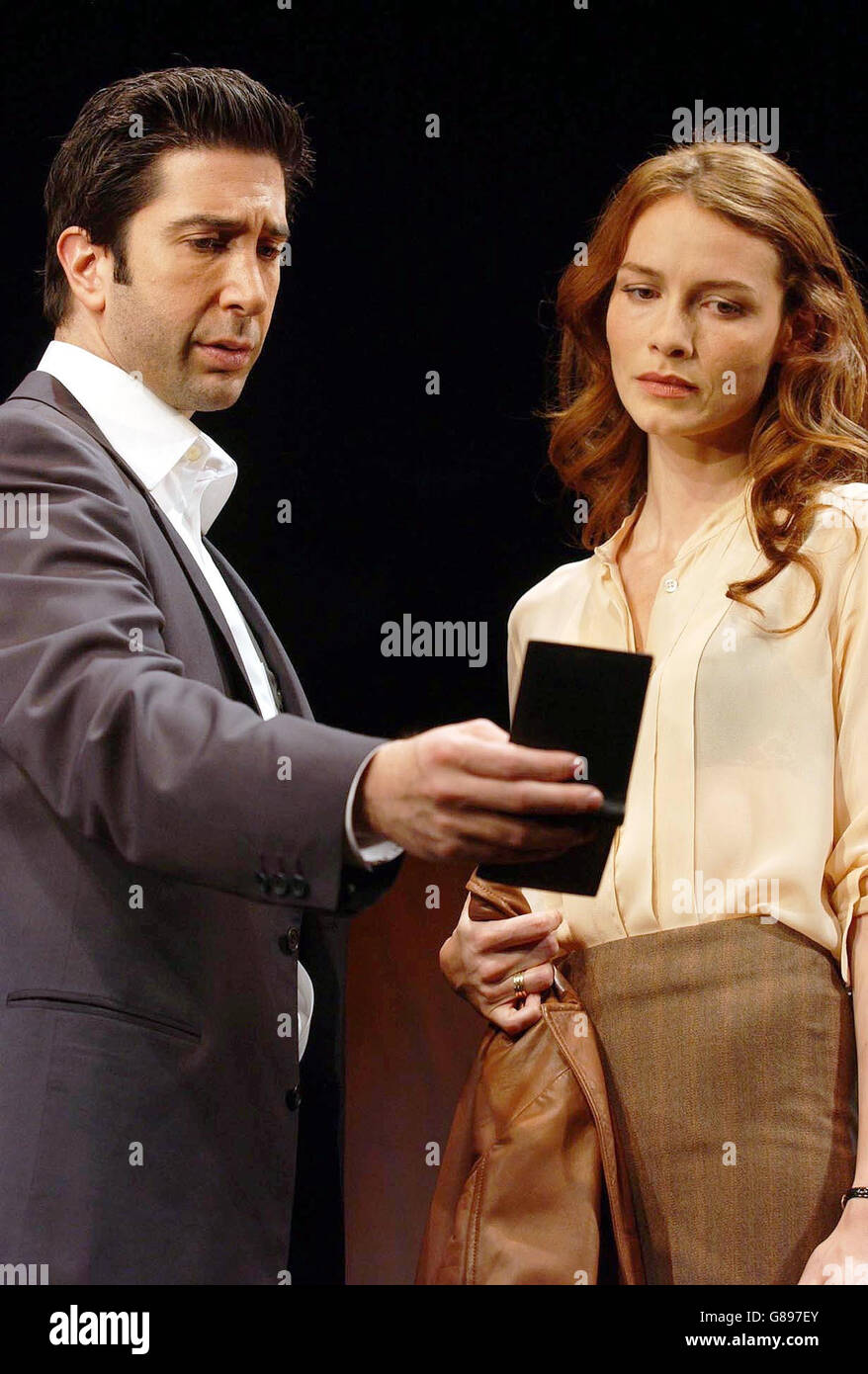 American actor david schwimmer and british actress saffron burrows hi ...