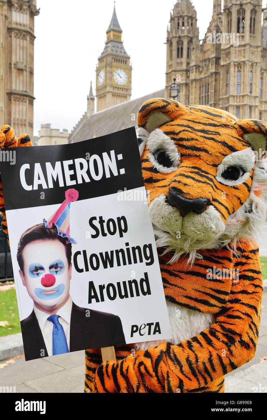 Peta supporter hi-res stock photography and images - Alamy