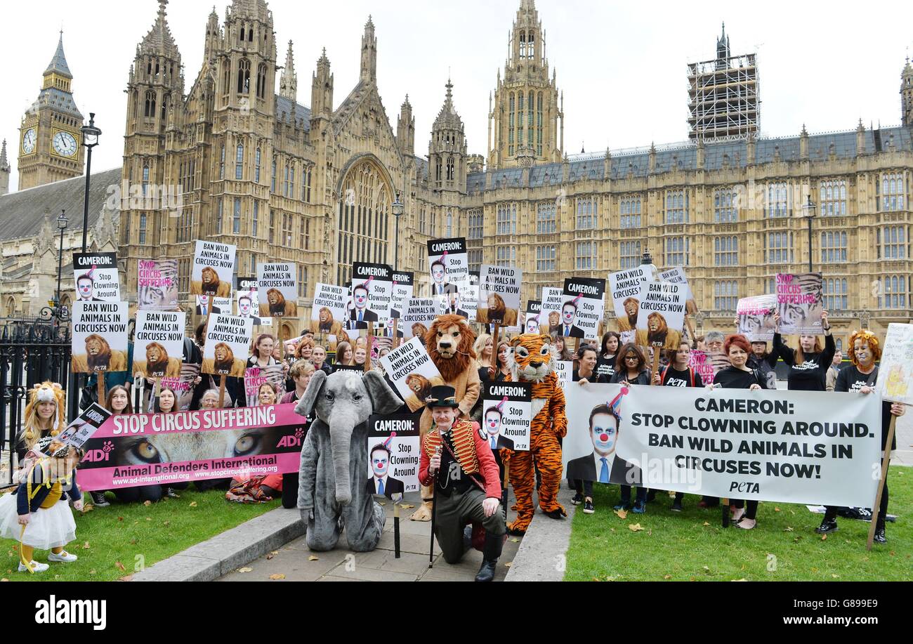 Abusing animals hi-res stock photography and images - Alamy