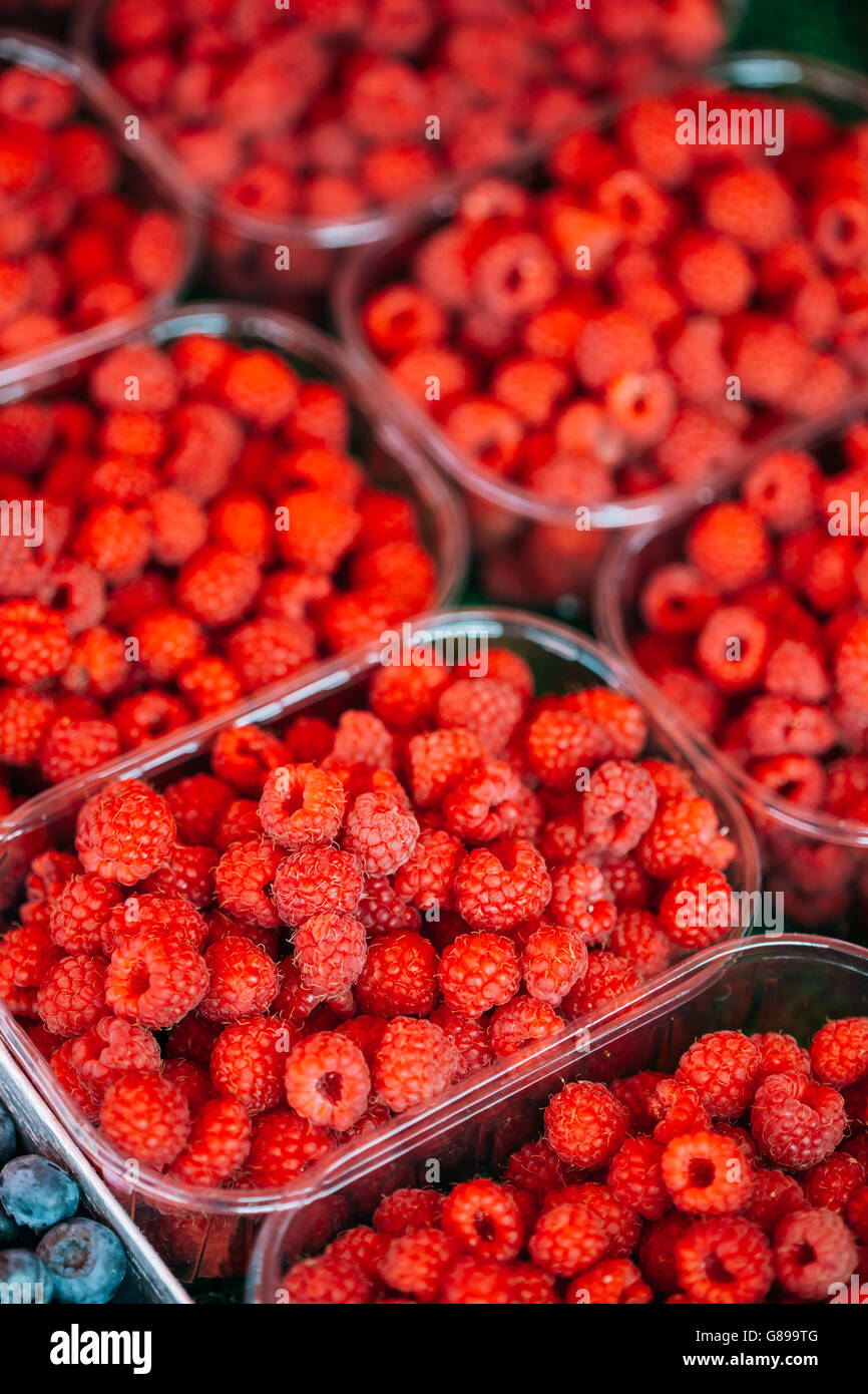 Fresh Red Berries Raspberries At Market In Trays, Containers Stock ...