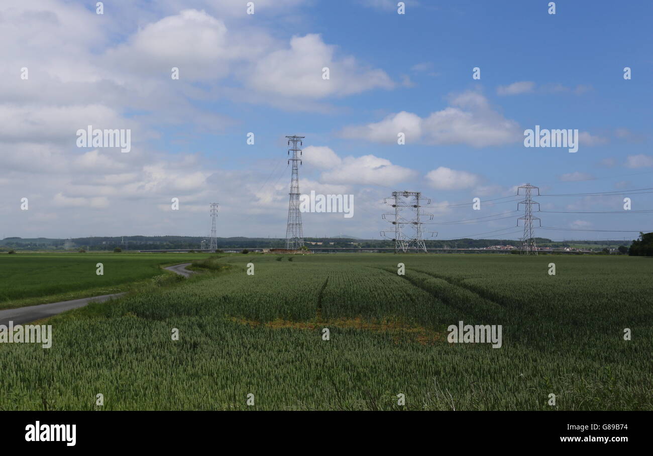 Pylons of the 400kV Forth Crossing the tallest electricity pylons in ...