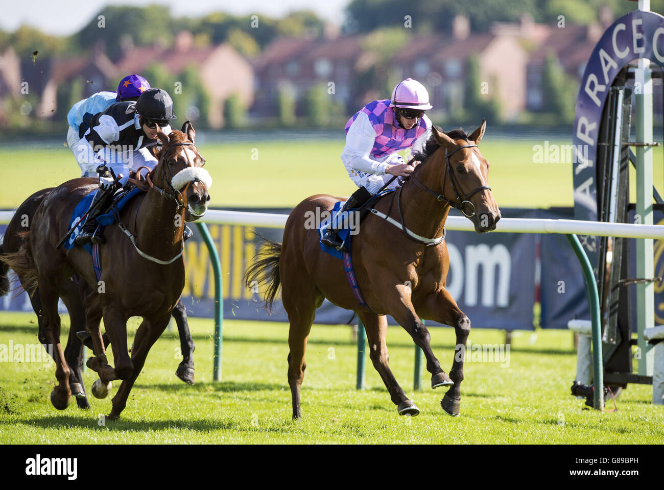 Constantino ridden by Paul Hanagan wins the Al Maktoum Collage, Dundee ...