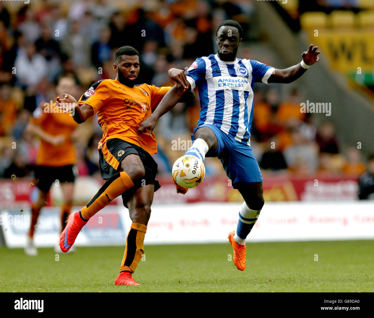 Soccer sky bet championship wolverhampton wanderers brighton hove ...