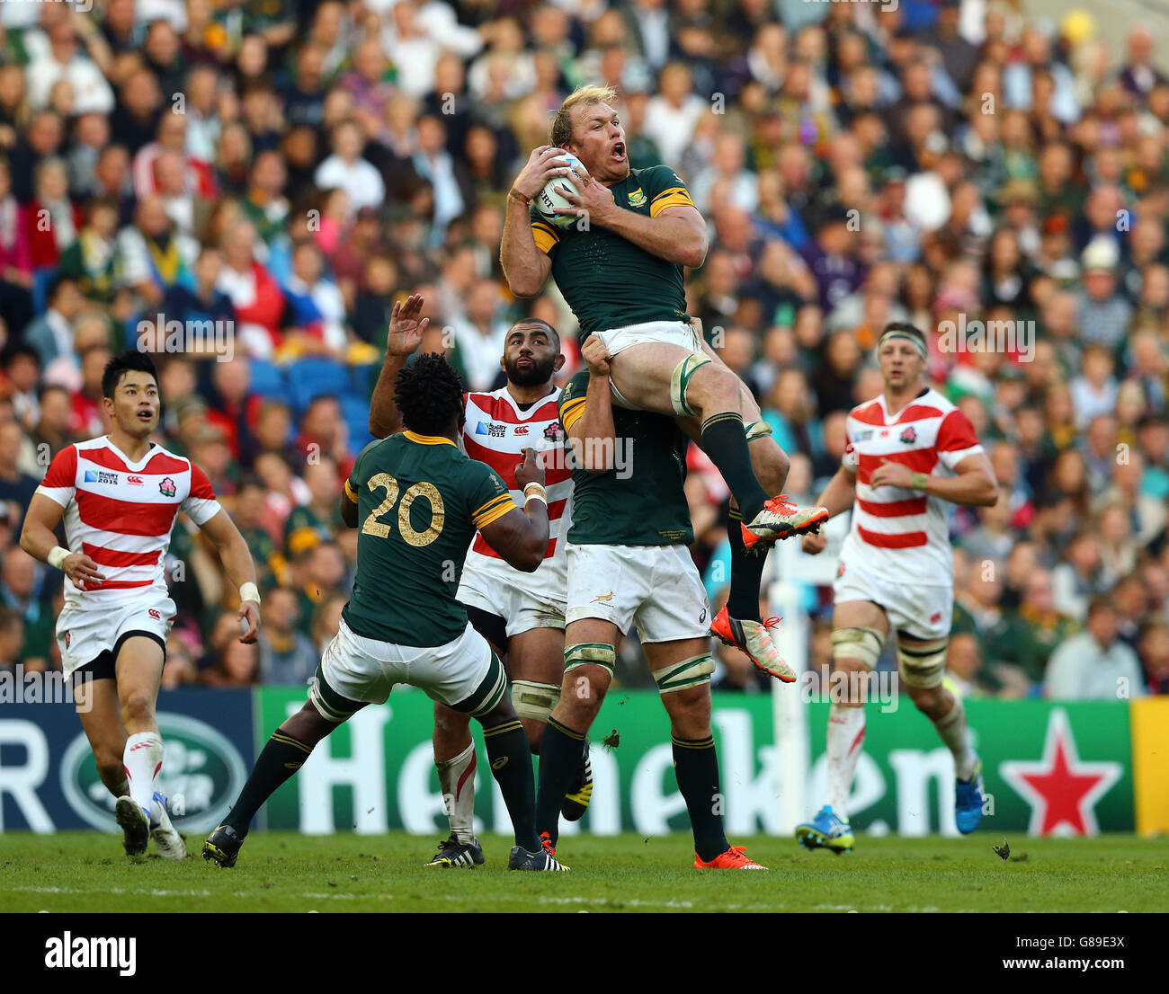Schalk burger world cup hi-res stock photography and images - Alamy
