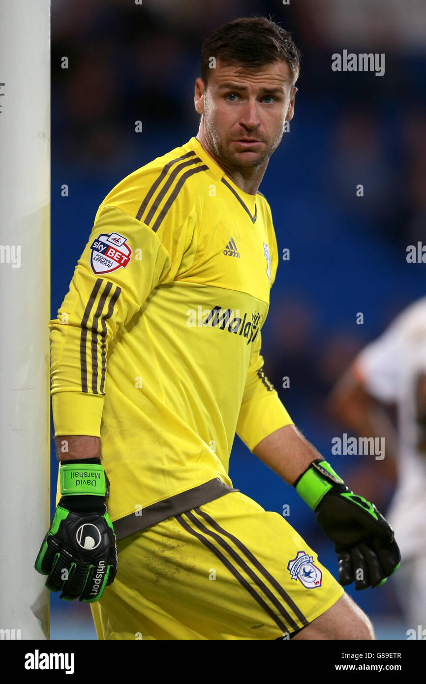 Cardiff citys goalkeeper david marshall hi-res stock photography and ...