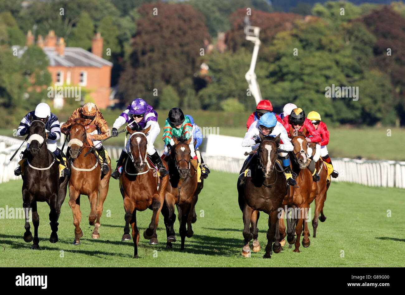 Horse Racing - Beverley Racecourse Stock Photo - Alamy