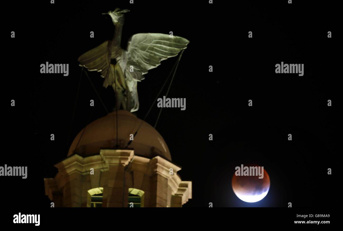 A blood red "supermoon" in the skies above by Liver Building, Liverpool ...