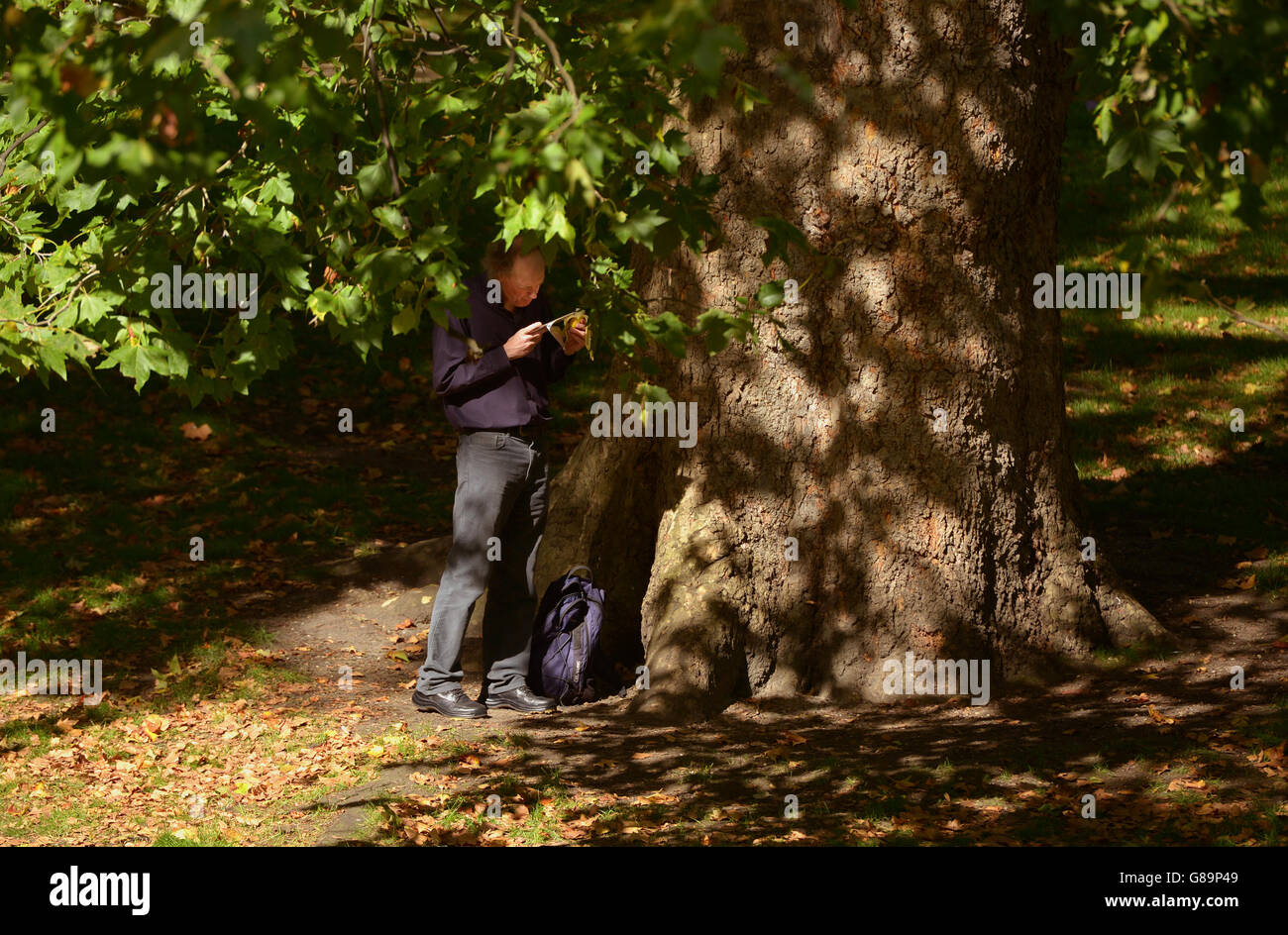 Man under tree hi-res stock photography and images - Alamy