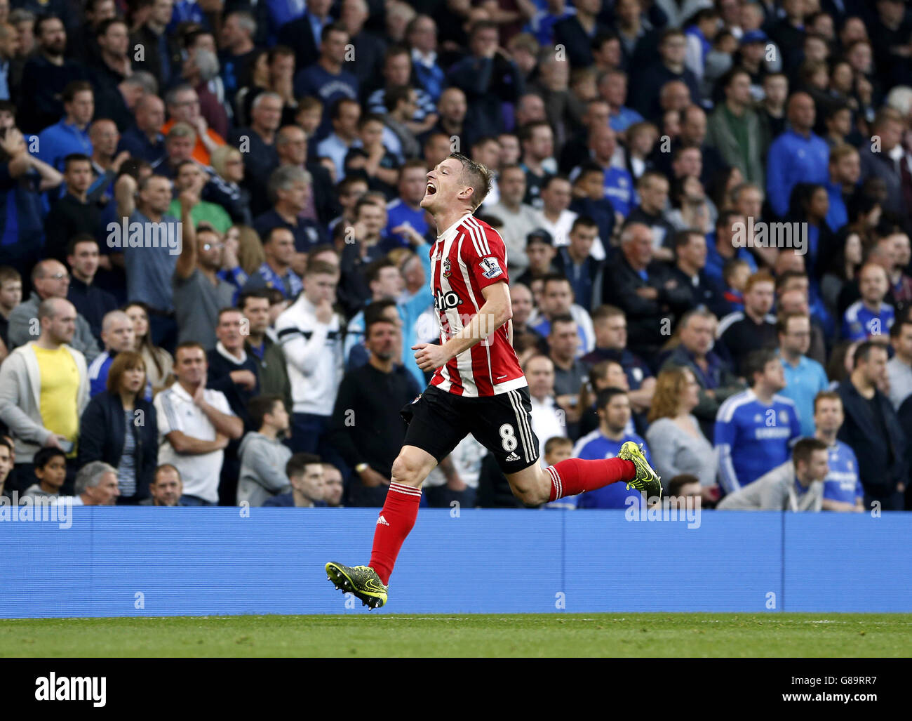 Southampton's Steven Davis celebrates scoring his side's first goal of ...