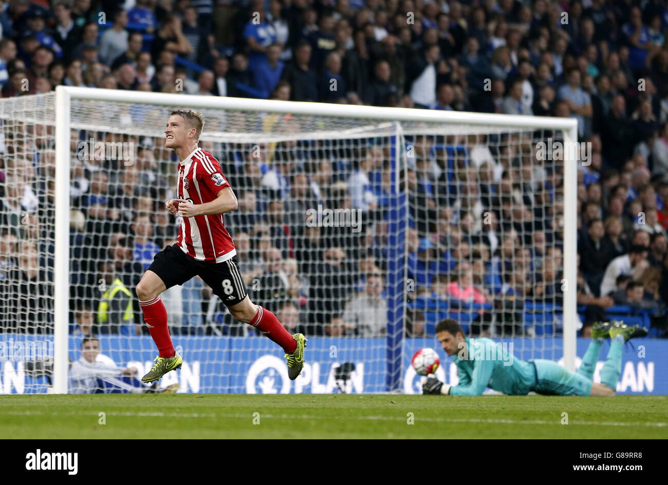 Southampton's Steven Davis celebrates scoring his side's first goal of ...
