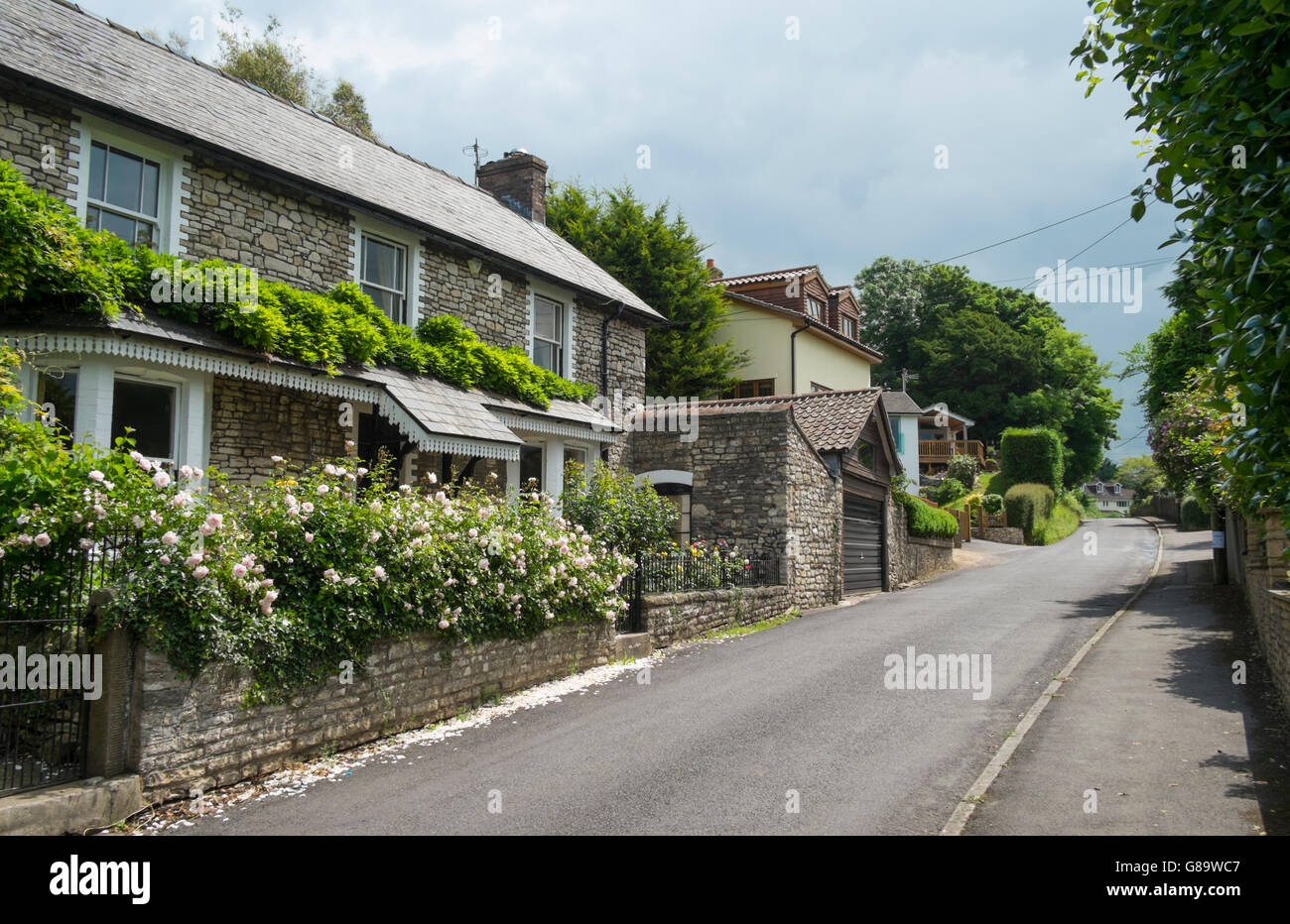 Bishop Sutton a Somerset village in the Chew Valley Somerset England ...
