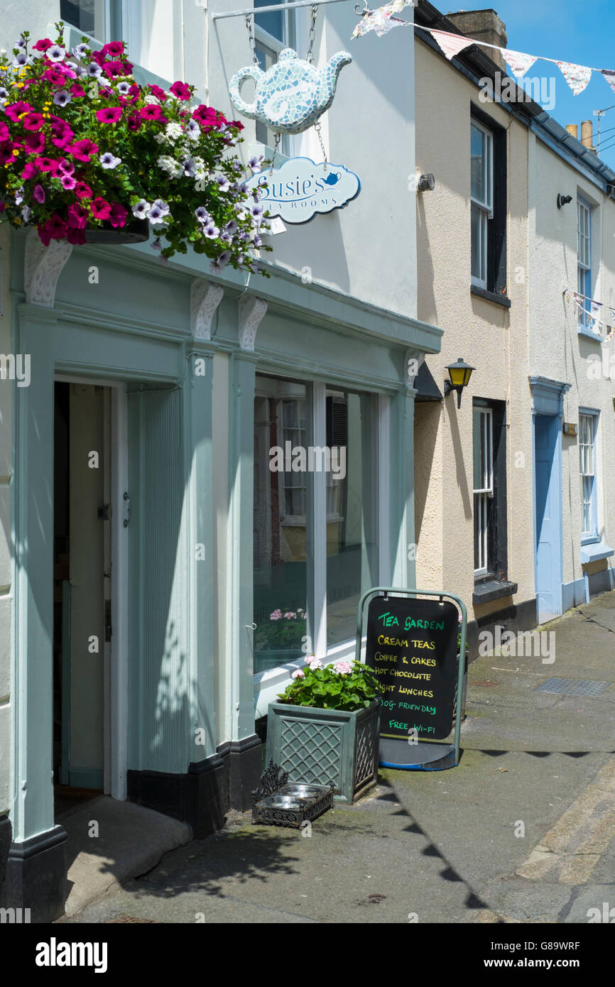 Appledore, a seaside village in North Devon England UK Susies Tea Rooms ...