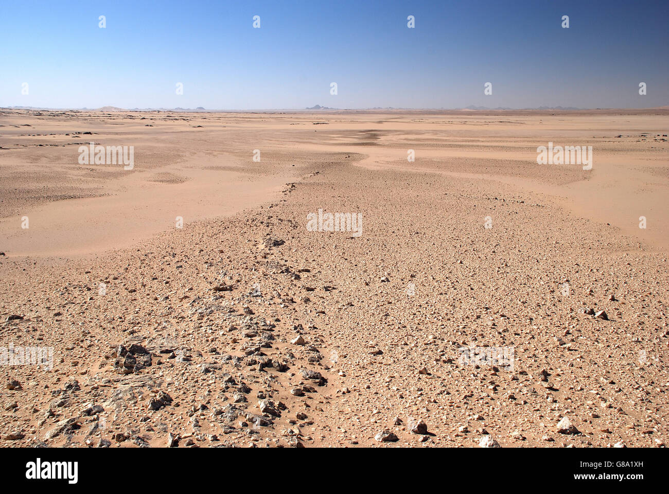 desert, Algeria, empty, isolated, plain, rocks, stones Stock Photo - Alamy